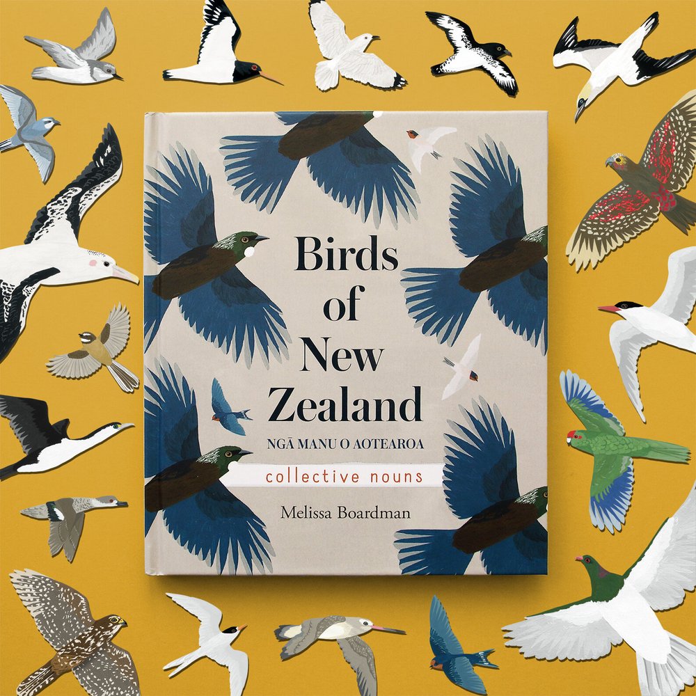 My book - Birds of New Zealand: Collective Nouns — Melissa Boardman