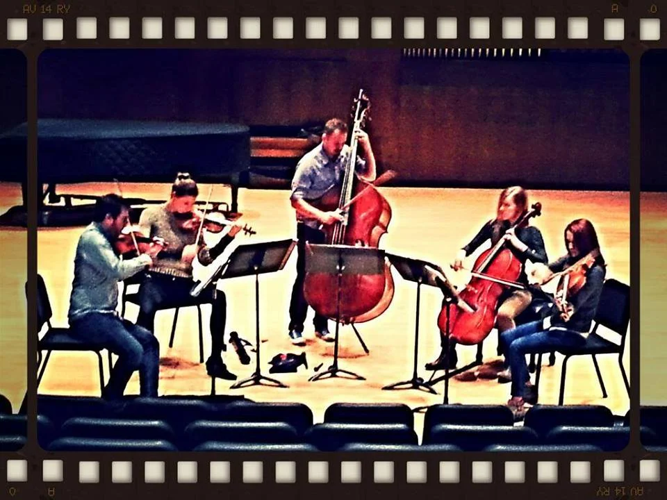 Video & Photos — Louis Levitt