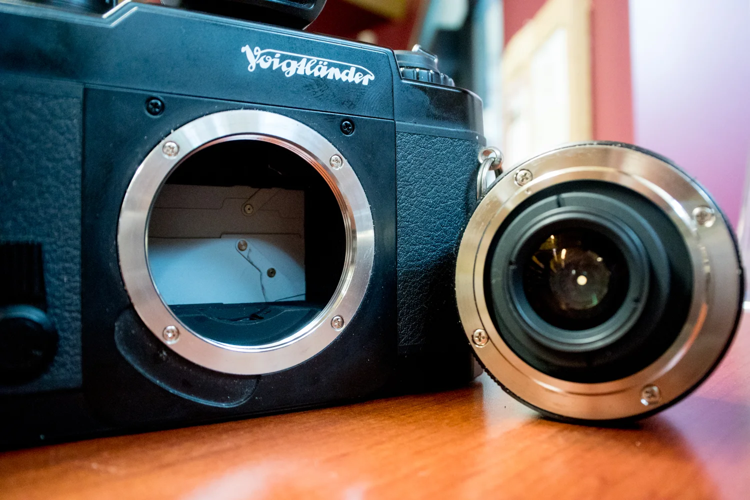 Voigtlander Bessa L Review | Kyle M