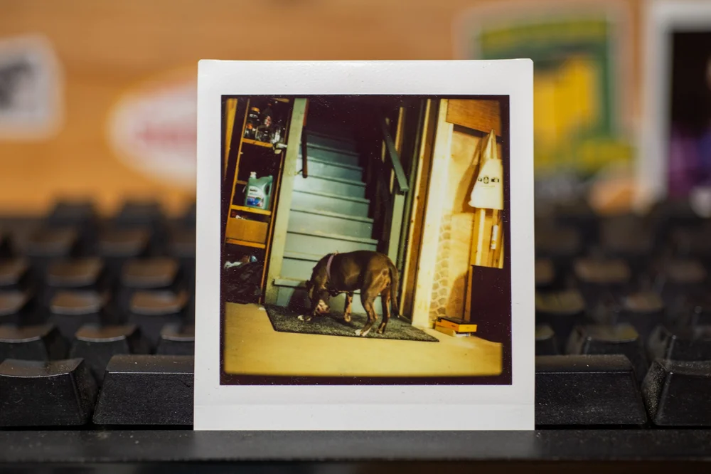 Nons Instax Square Hasselblad Back | Kyle M