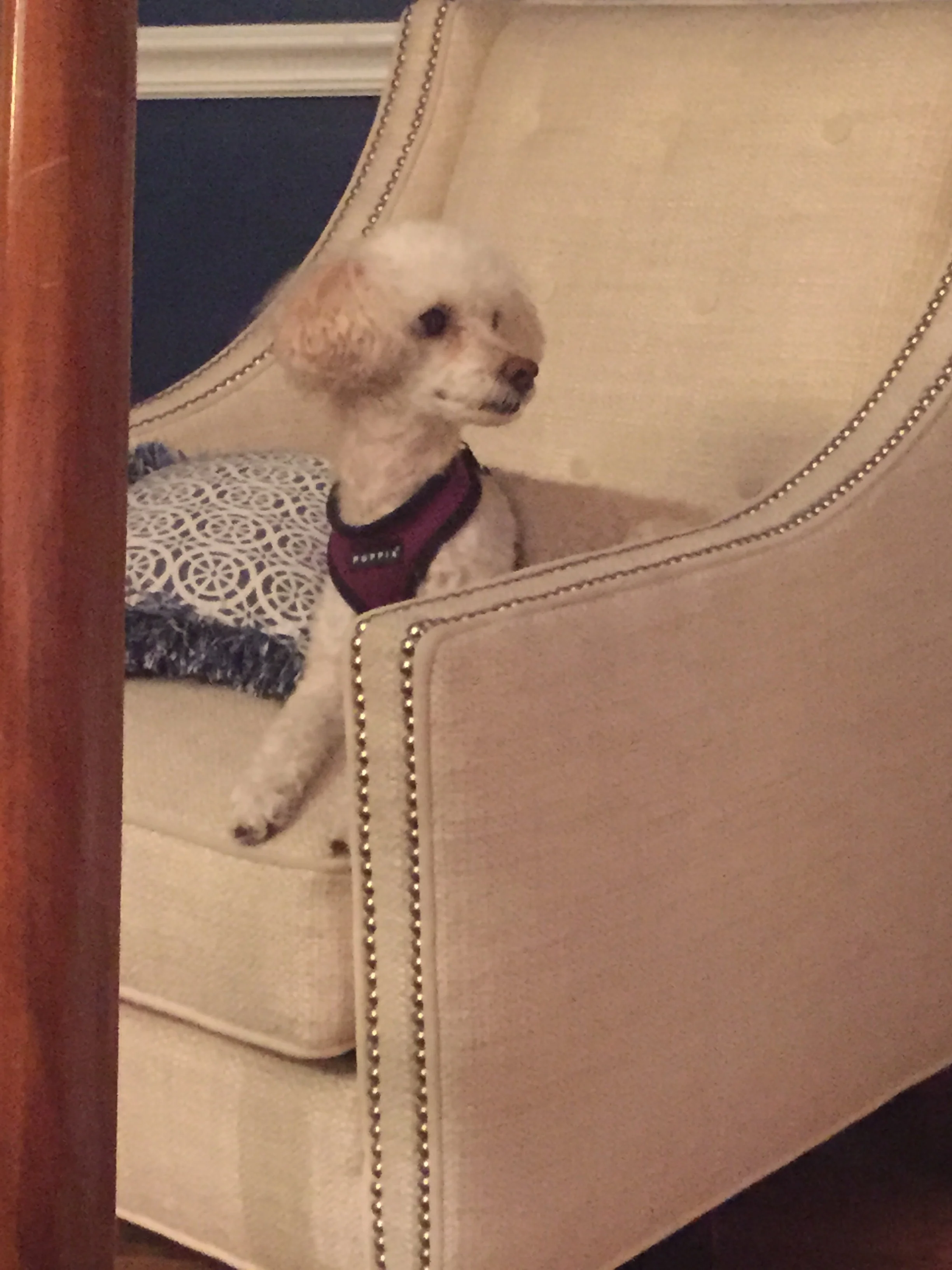 People — Kavran Lab