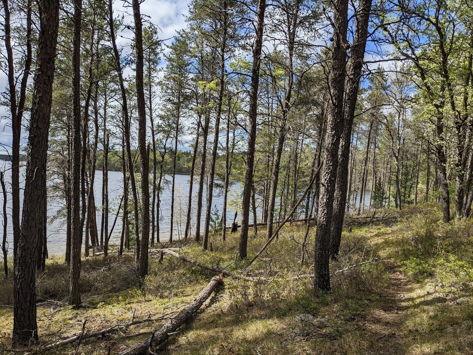 Northern Michigan Mountain Bike Association