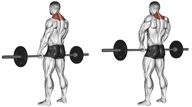 Exercise Database (Shoulders17) - Standing Front Barbell Shrugs — Jase ...