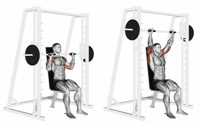 Exercise Database - Shoulders — Jase Stuart - The Better Body Coach