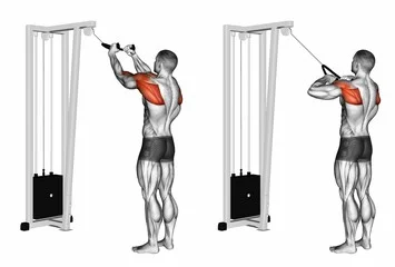 Exercise Database (Shoulders16) - Standing Cable Rear Delt Rope Pulls ...