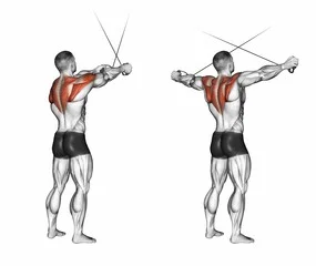 Exercise Database (Shoulders15) - Standing Cable Rear Delt Fly — Jase ...