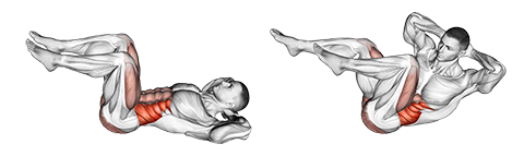 Exercise Database - Abs — Jase Stuart - The Better Body Coach