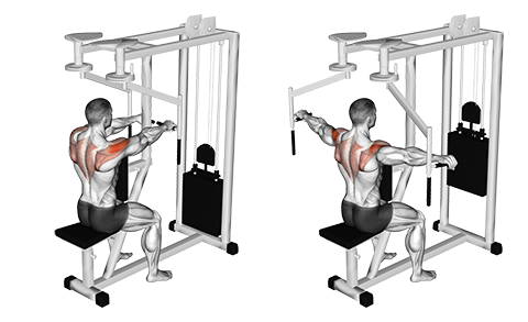Exercise Database (Shoulders27) - Seated Reverse Fly - Horizontal ...