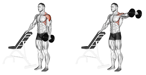 Exercise Database (Shoulders33) - Supported Standing One Arm Dumbbell ...