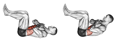 Exercise Database - Abs — Jase Stuart - The Better Body Coach