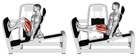 Exercise Database (Legs39) - Seated Machine Squats — Jase Stuart - The ...