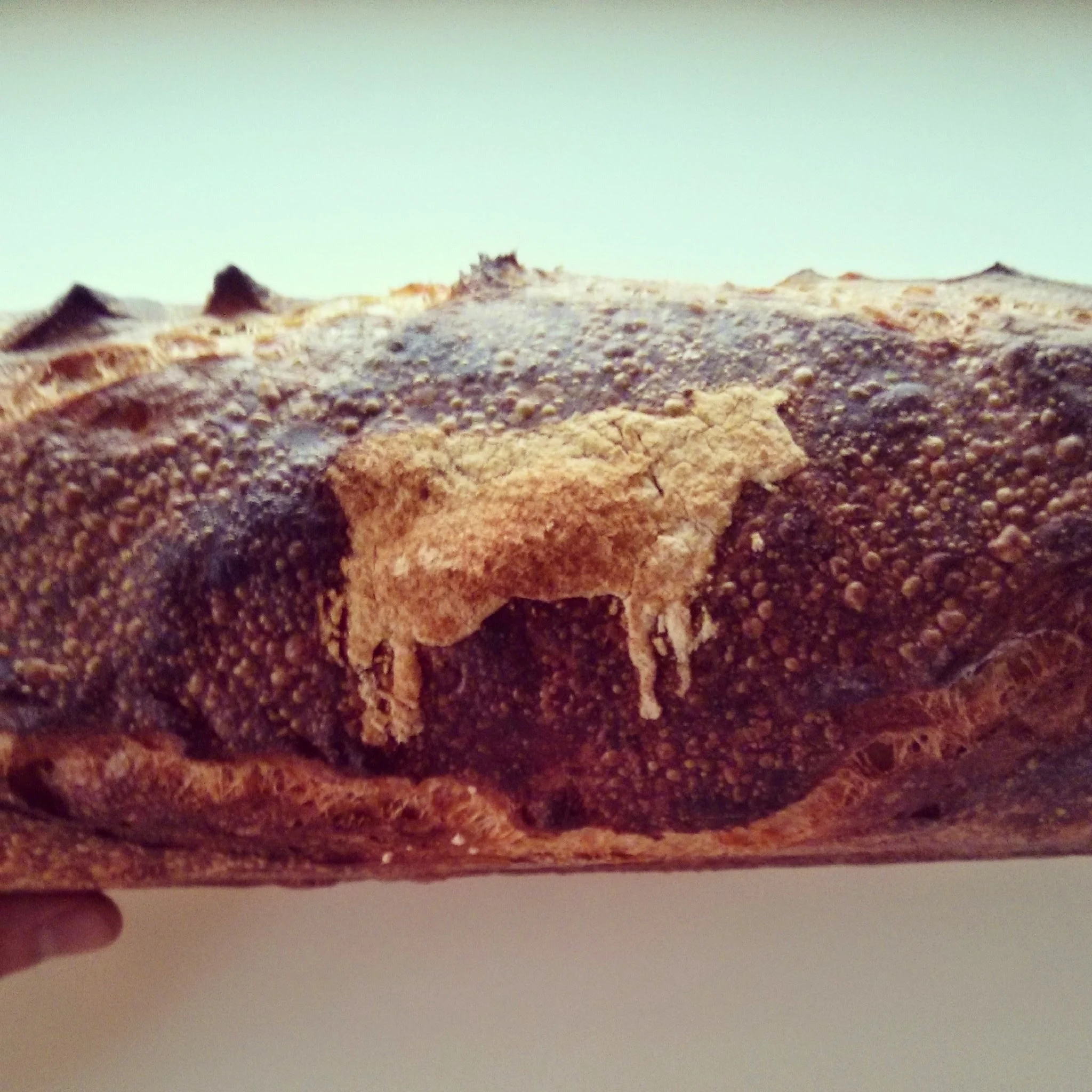 ABOUT — LAUNE | BREAD