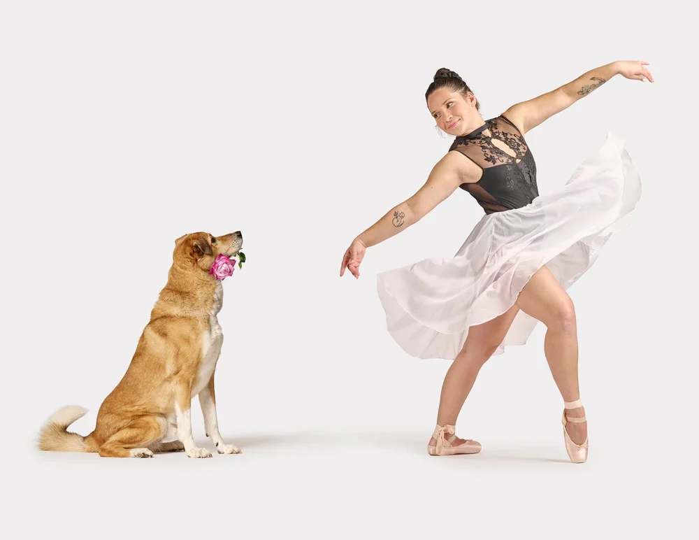 Simon — Dog Tales Rescue and Sanctuary