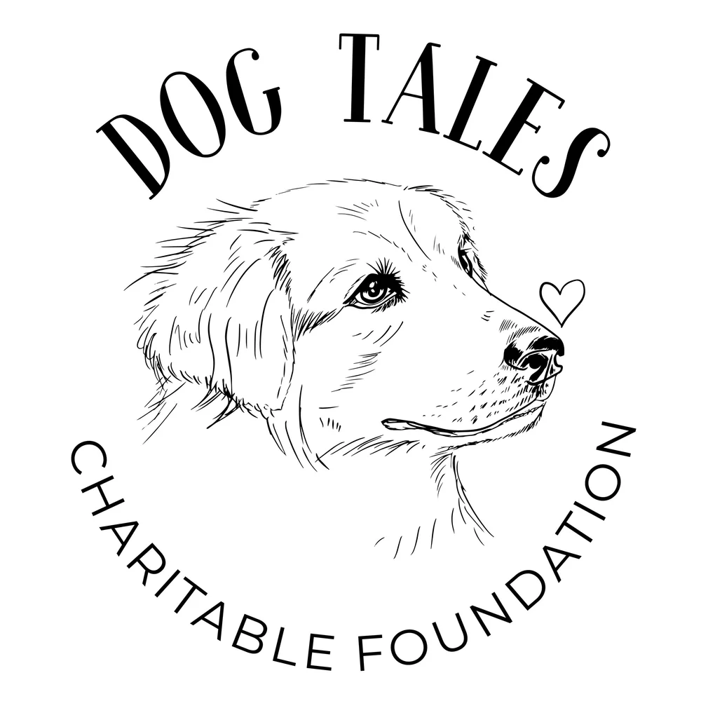 Kai 2 — Dog Tales Rescue and Sanctuary