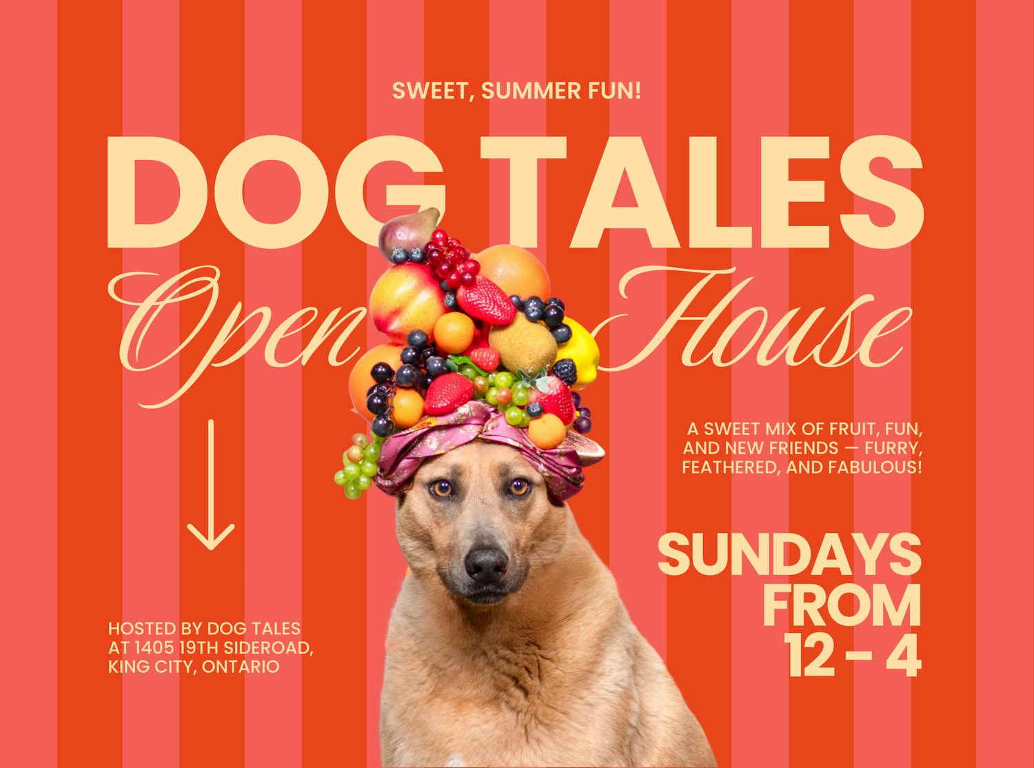 Dog Tales Rescue and Sanctuary