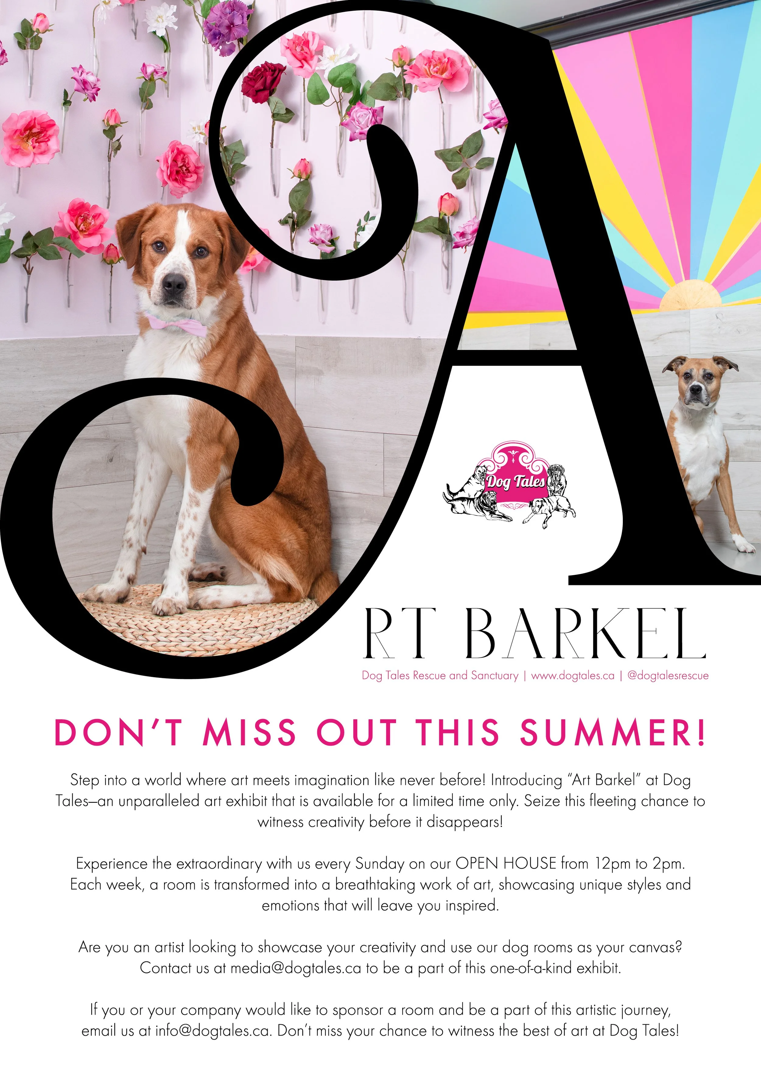 Dog Tales Rescue and Sanctuary