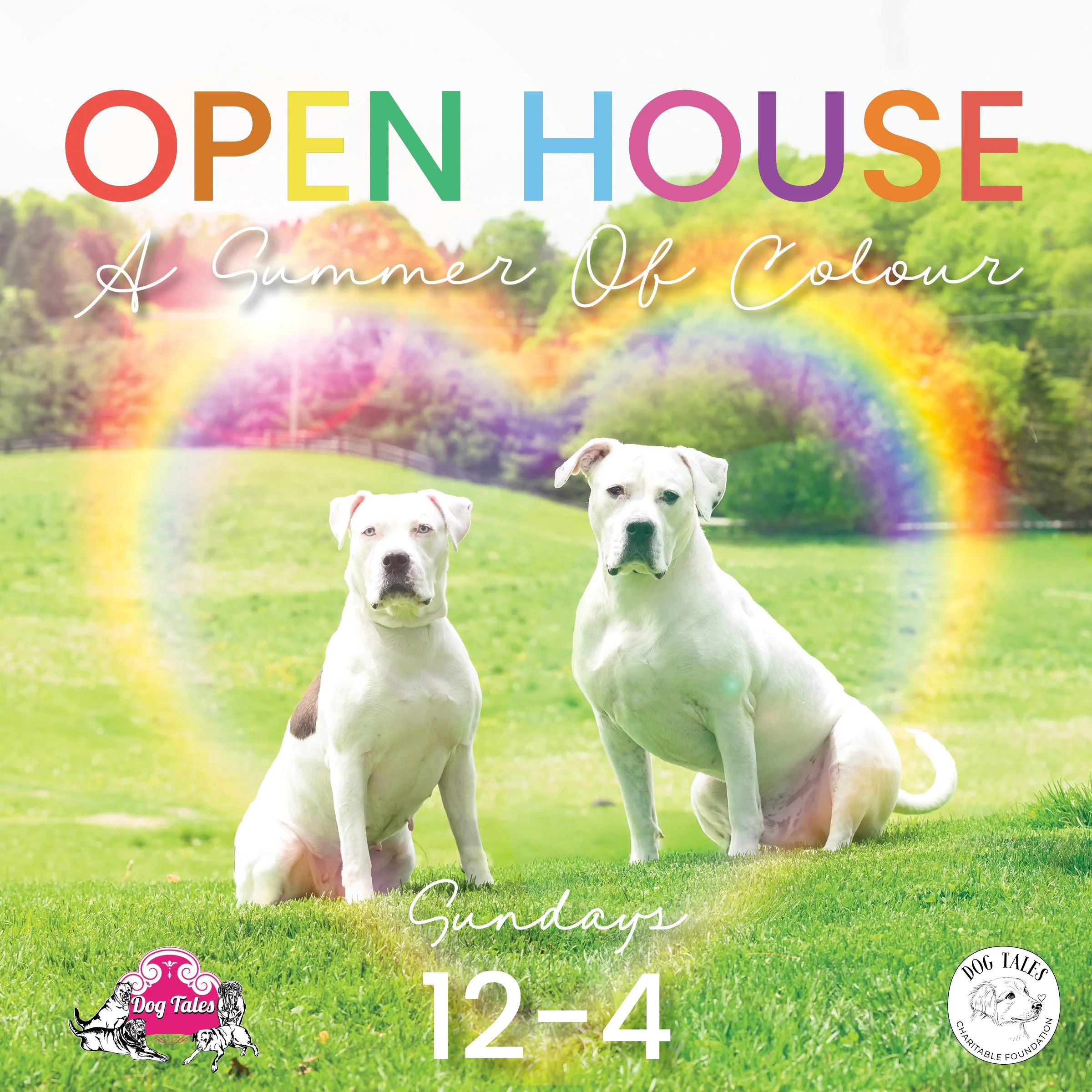 Dog Tales Rescue and Sanctuary
