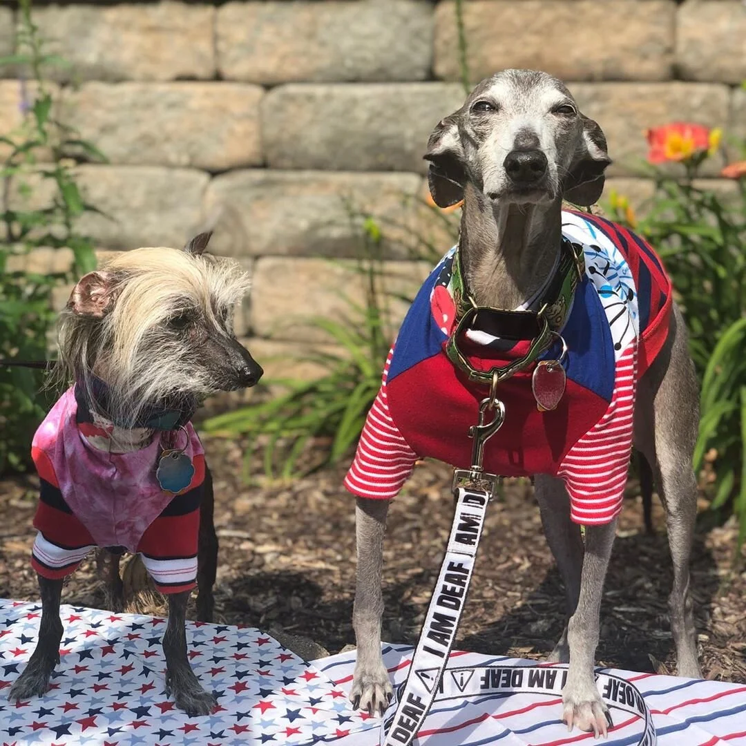 blog — courtneycourtney