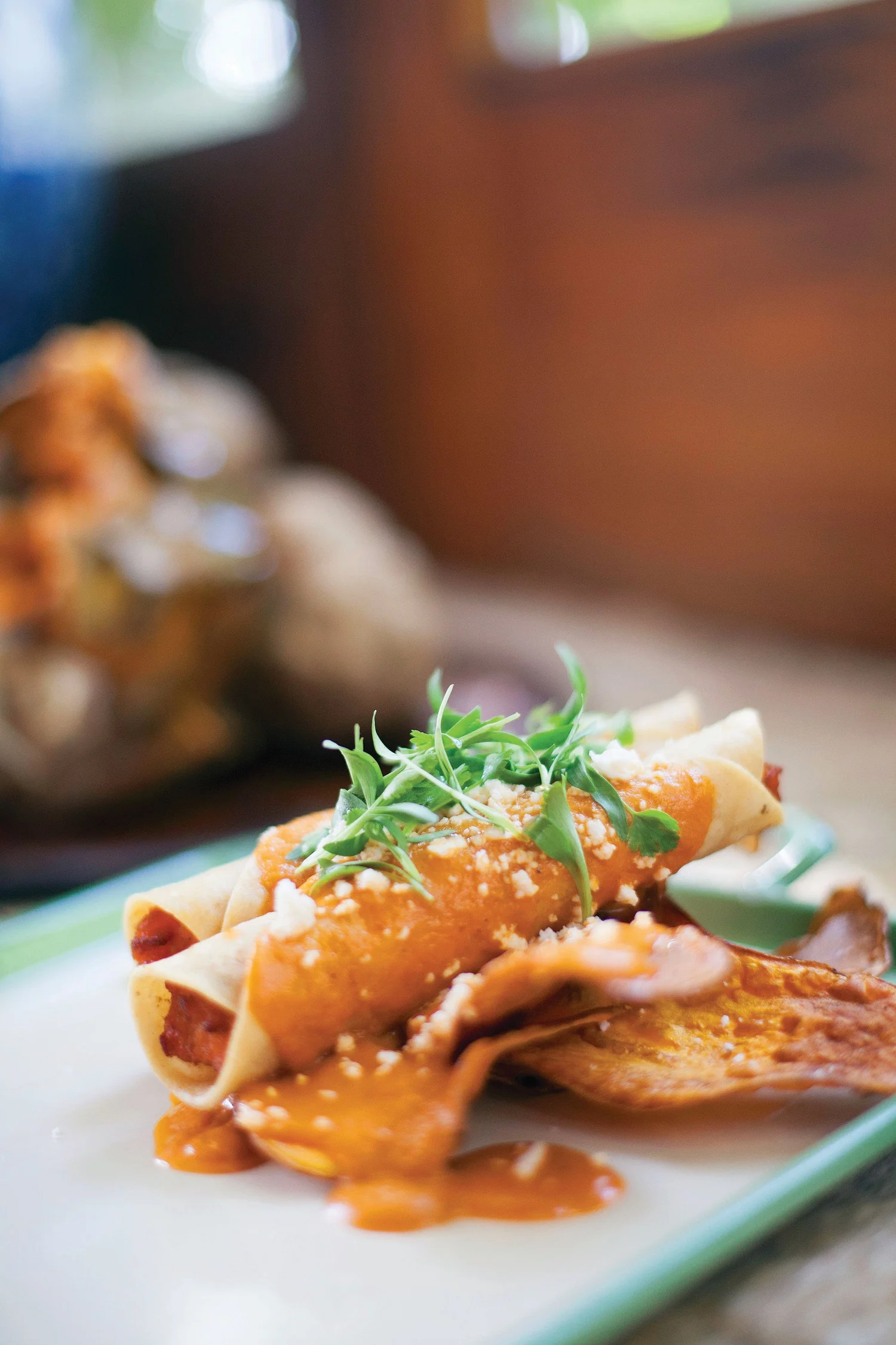 Enchiladas: Aztec to Tex-Mex | Enchiladas Cookbook by Cappy Lawton and ...