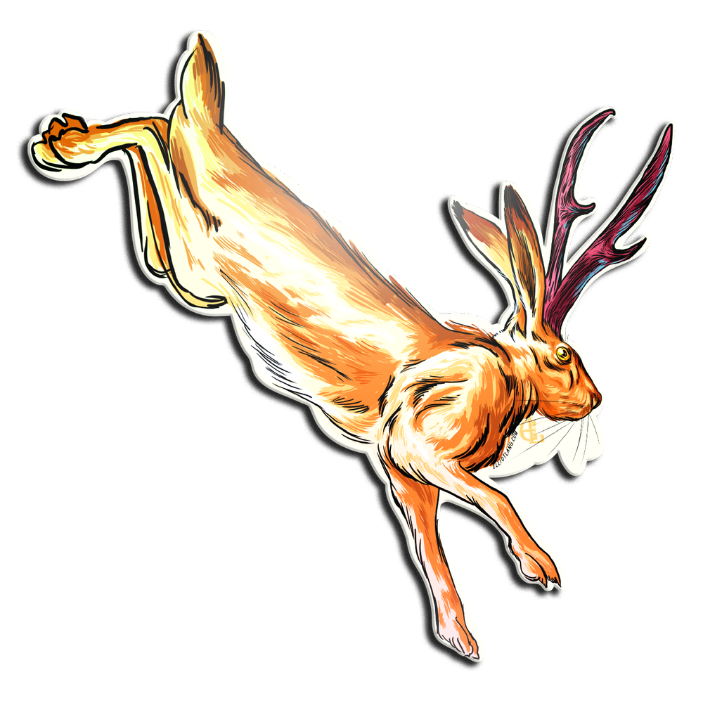 Jackalope Illustration