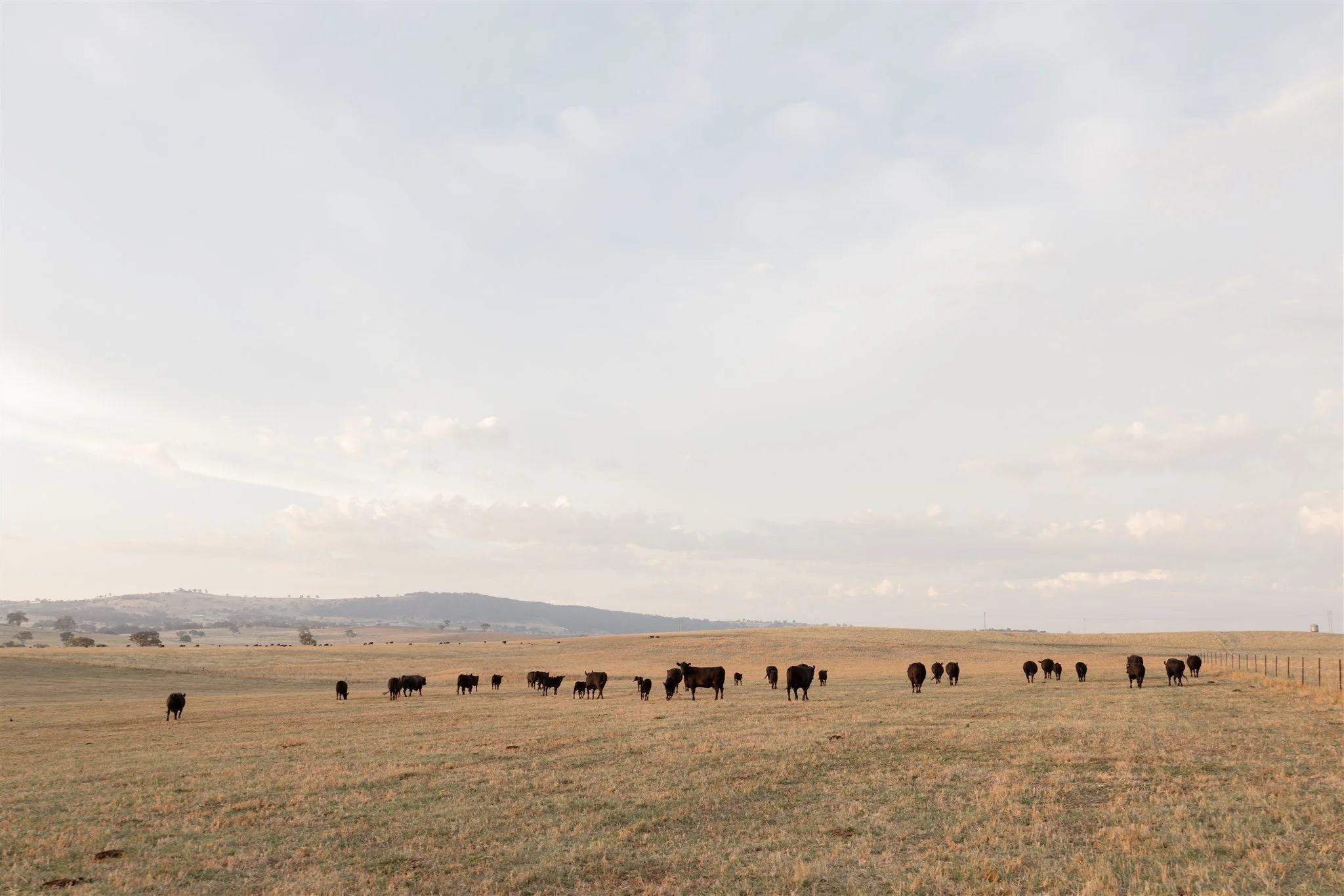 BoxGrove | Weddings, accommodation, experiences.