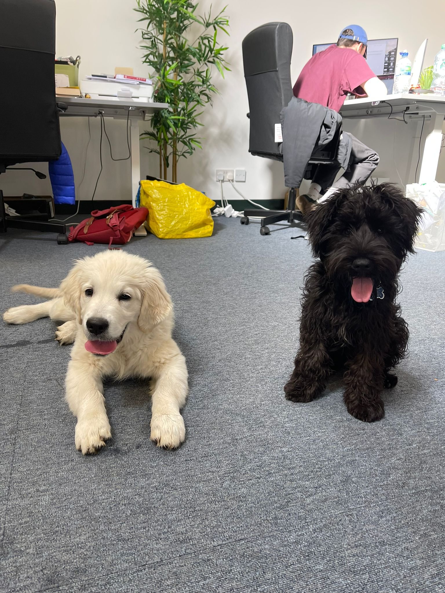 The Team — Extra People