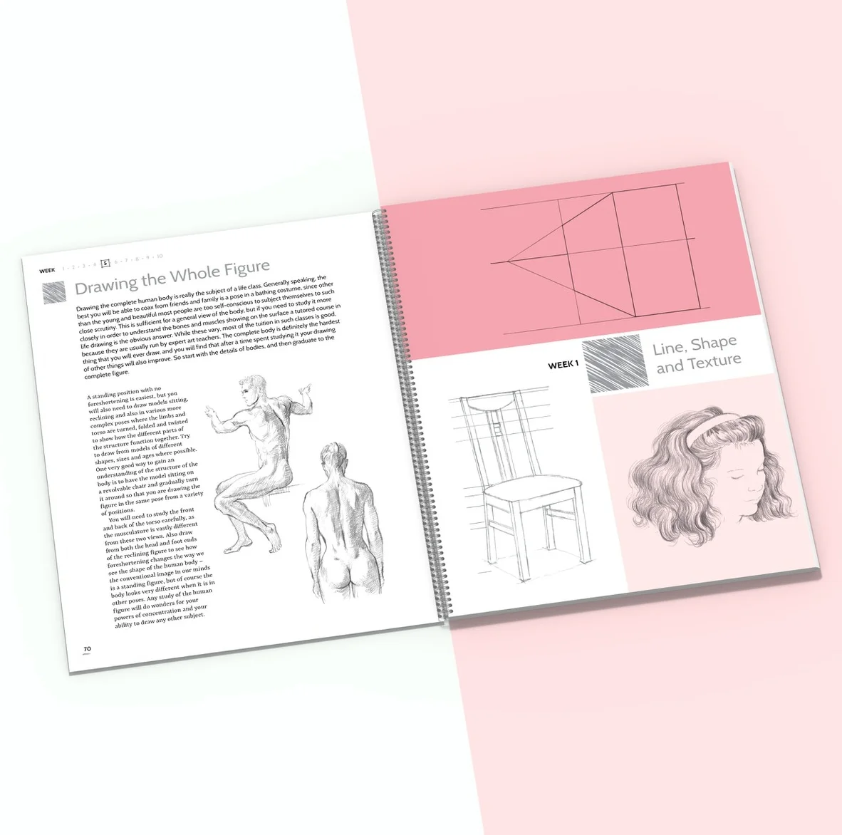 10 Week Drawing Course — Oakley Creative