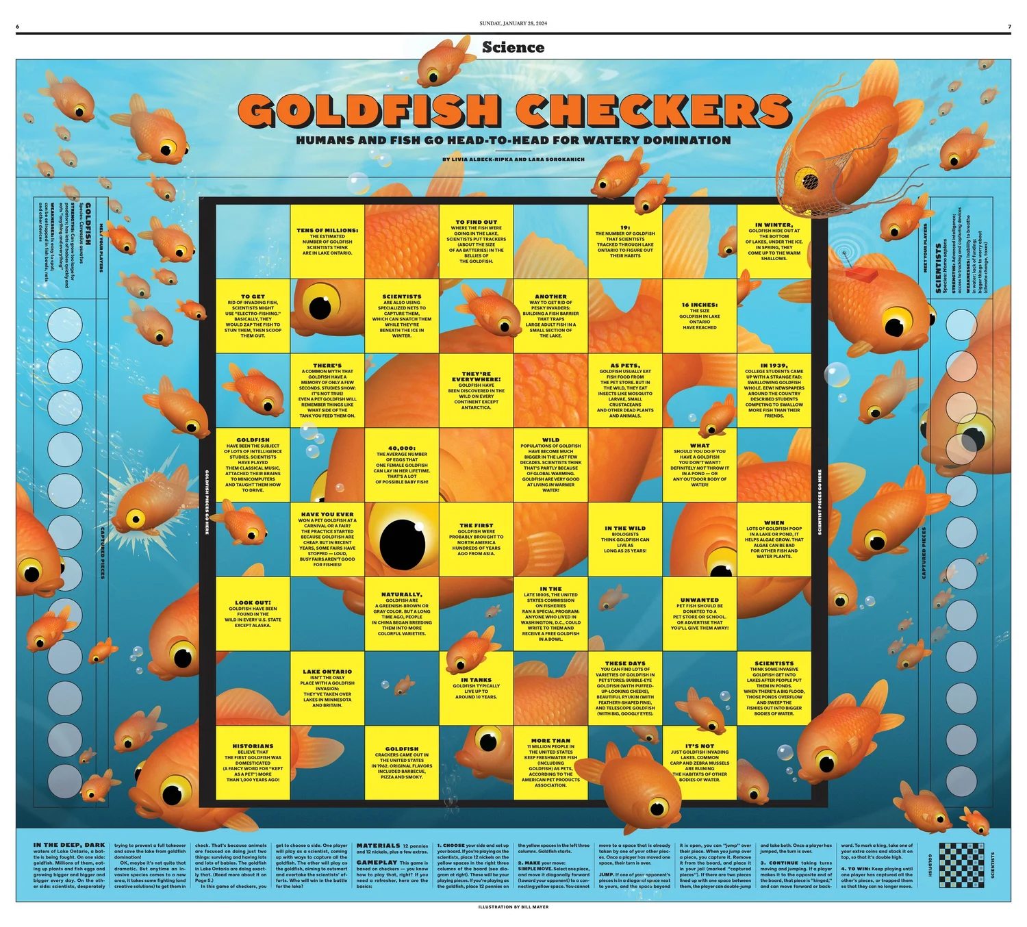 BLOG — BILL MAYER STUDIO