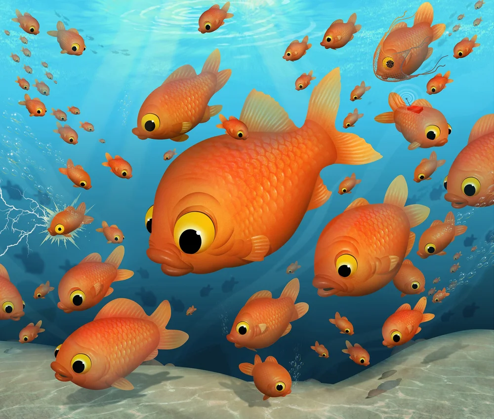 BLOG — BILL MAYER STUDIO