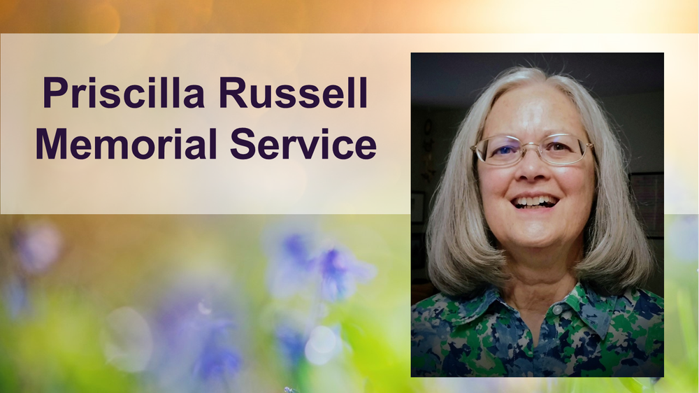 Stream — Beth Eden