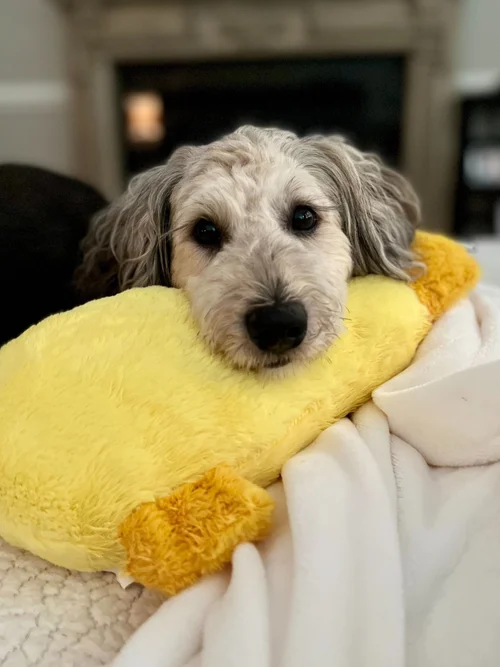 Meet Our Team — Account On Us, LLC