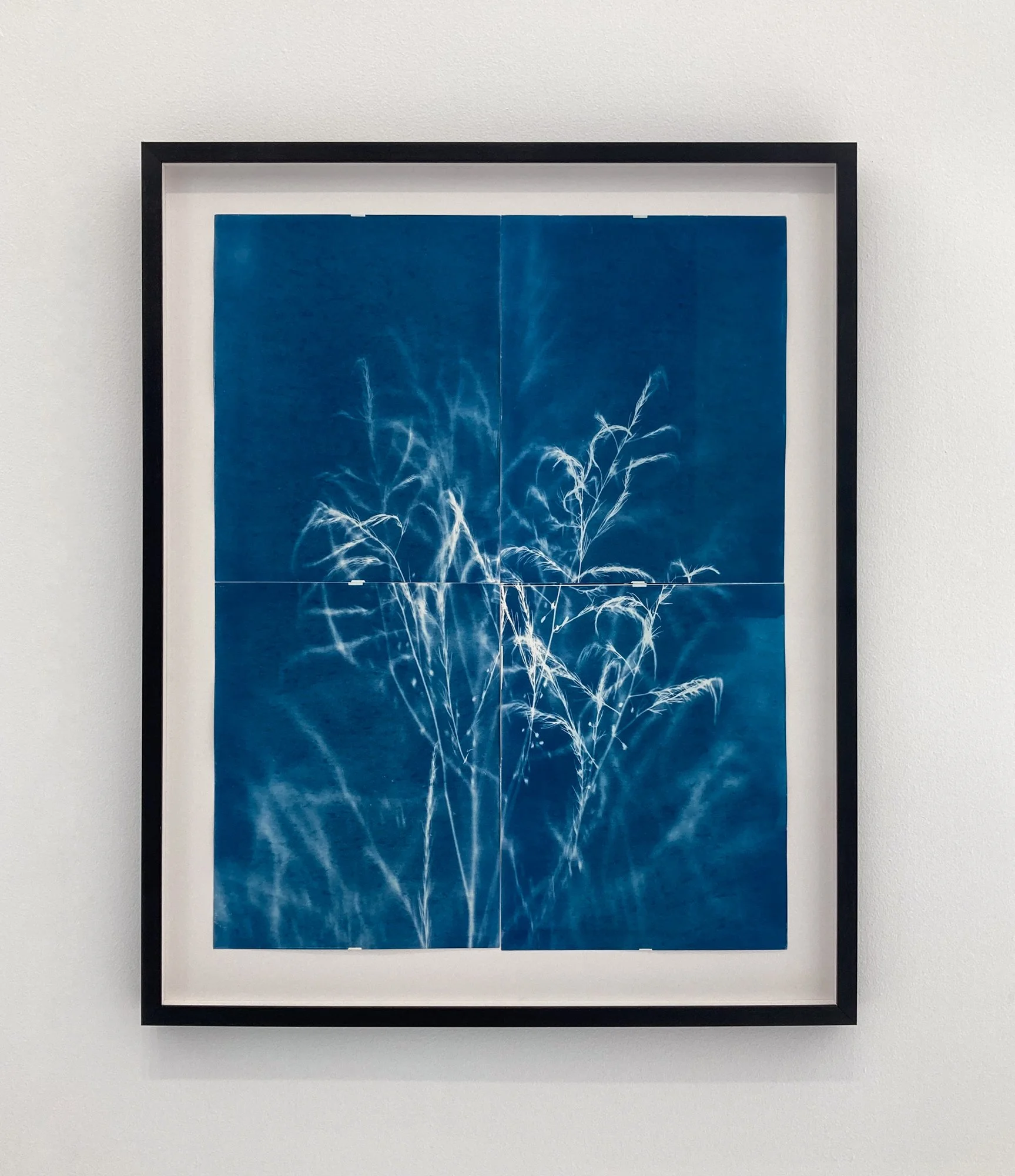 Eric William Carroll: Field Recordings — EUQINOM Gallery