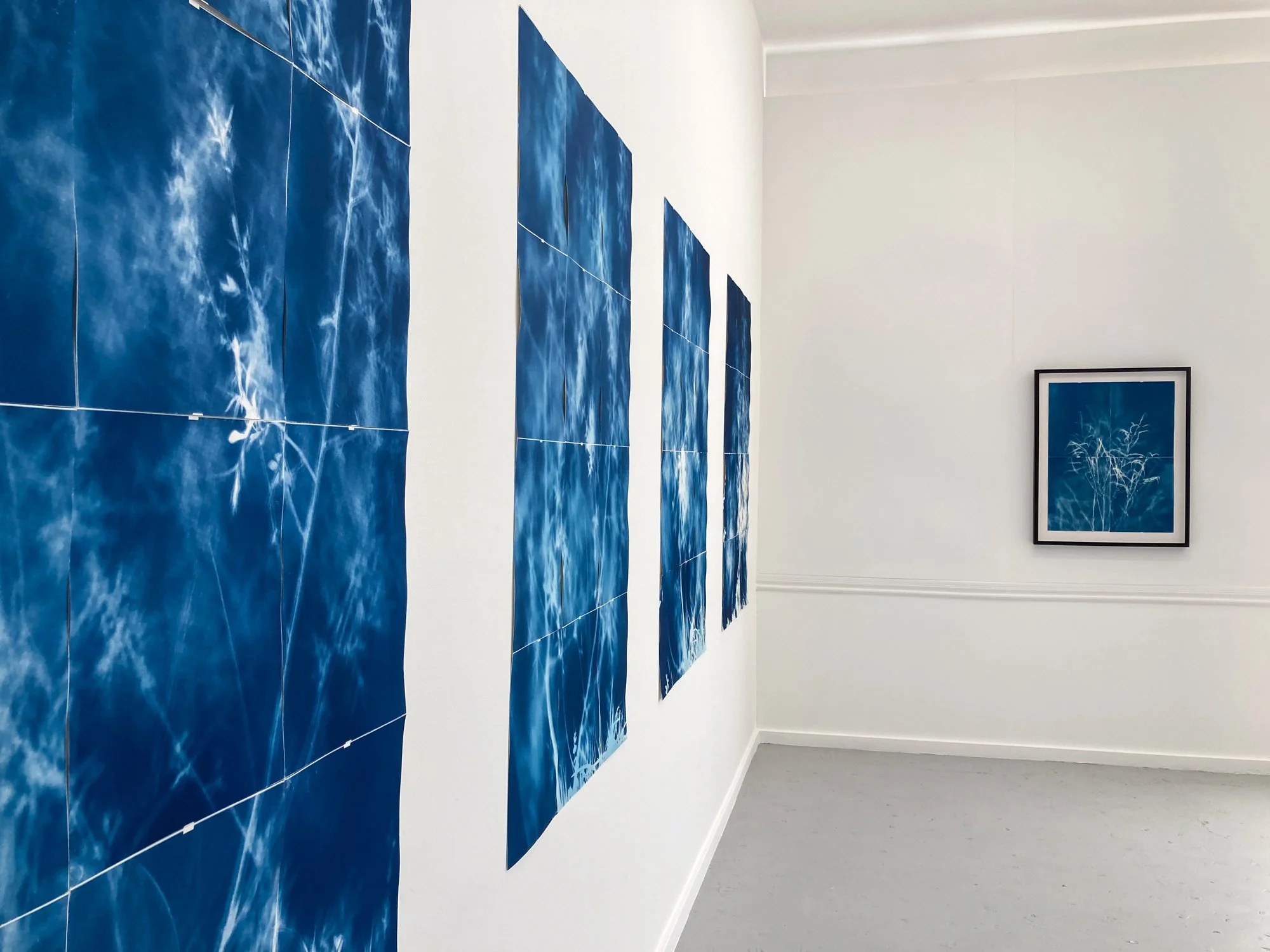 Eric William Carroll: Field Recordings — EUQINOM Gallery