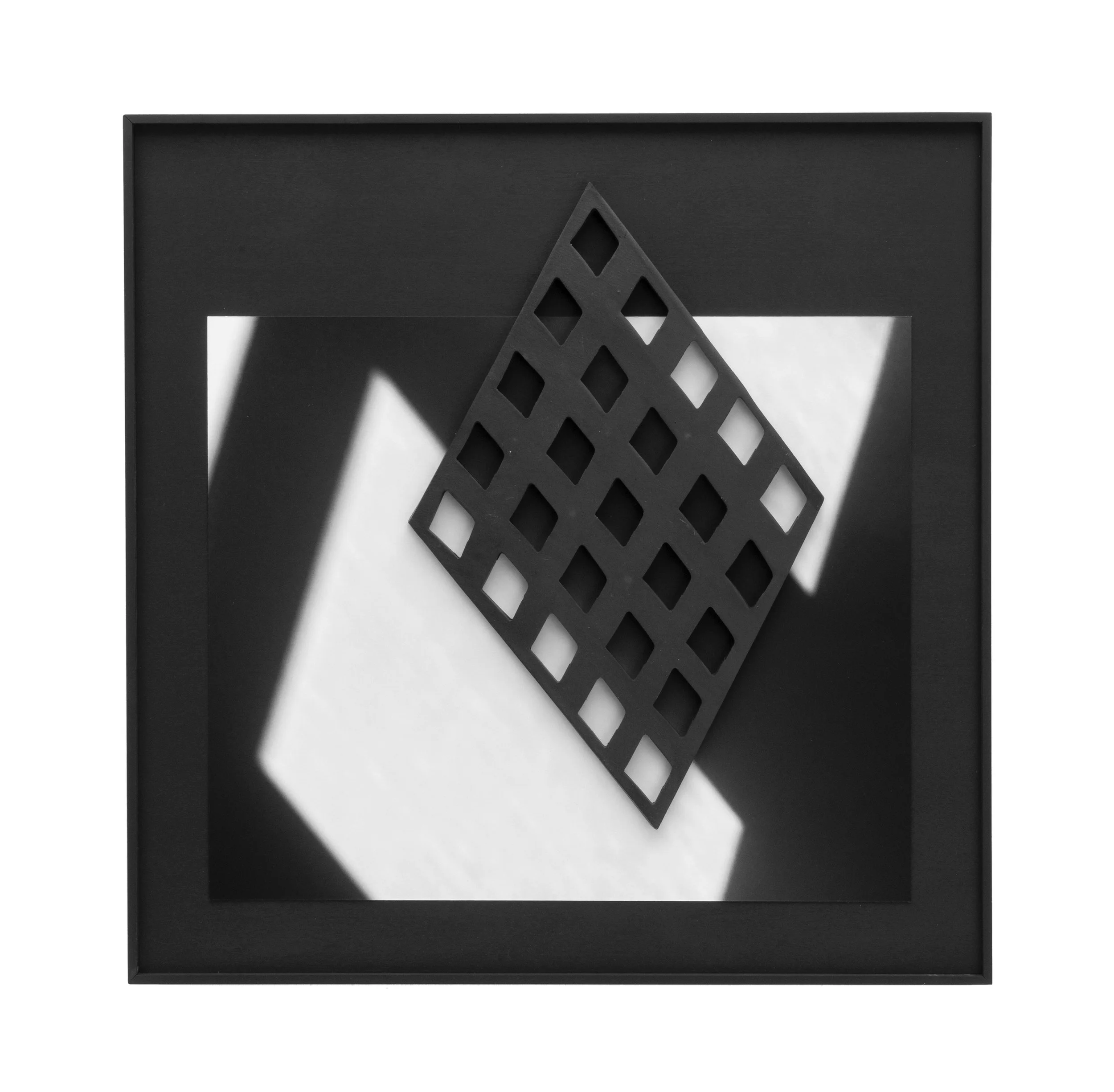 PAULA MCCARTNEY — EUQINOM Gallery