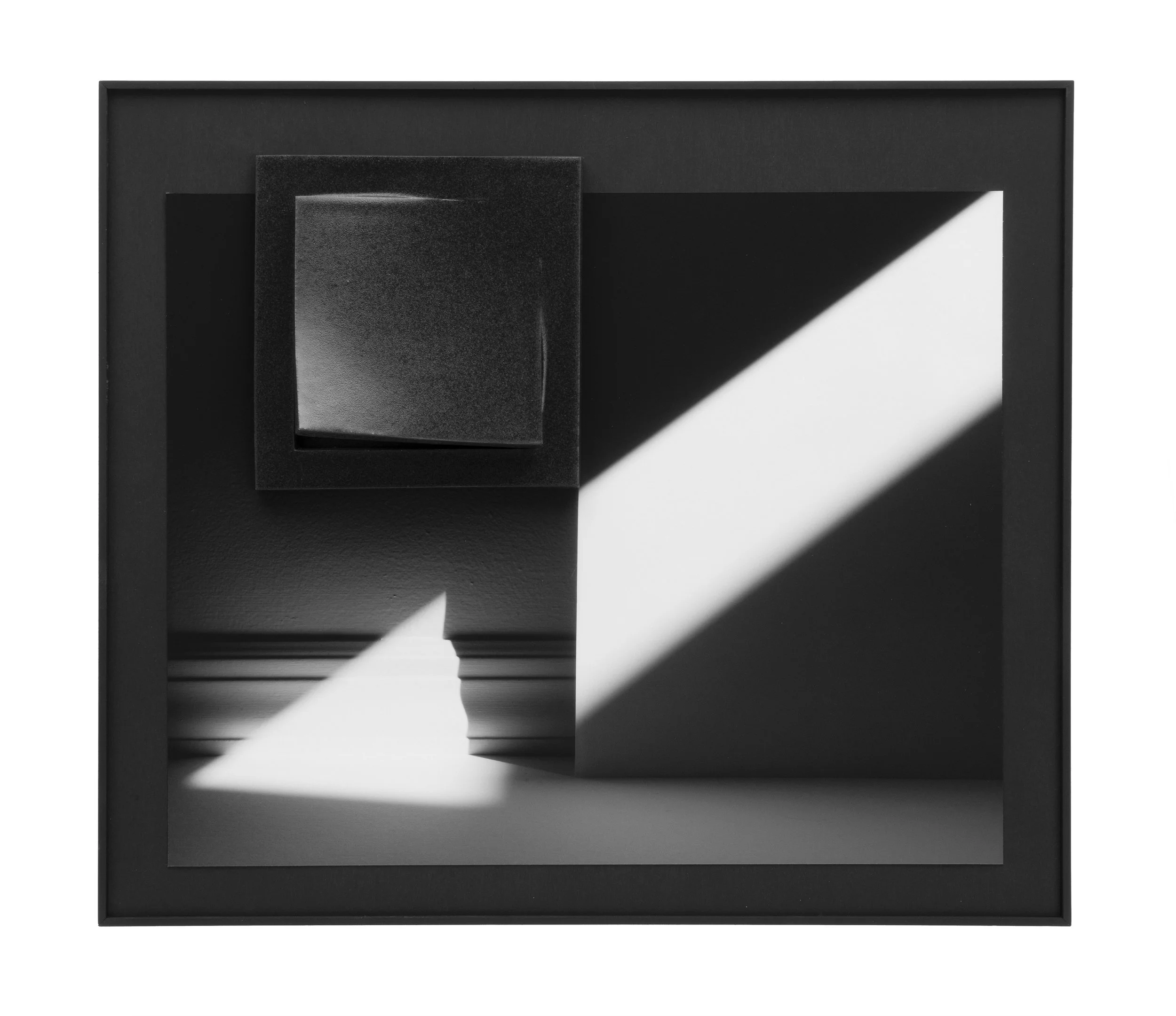 PAULA MCCARTNEY — EUQINOM Gallery
