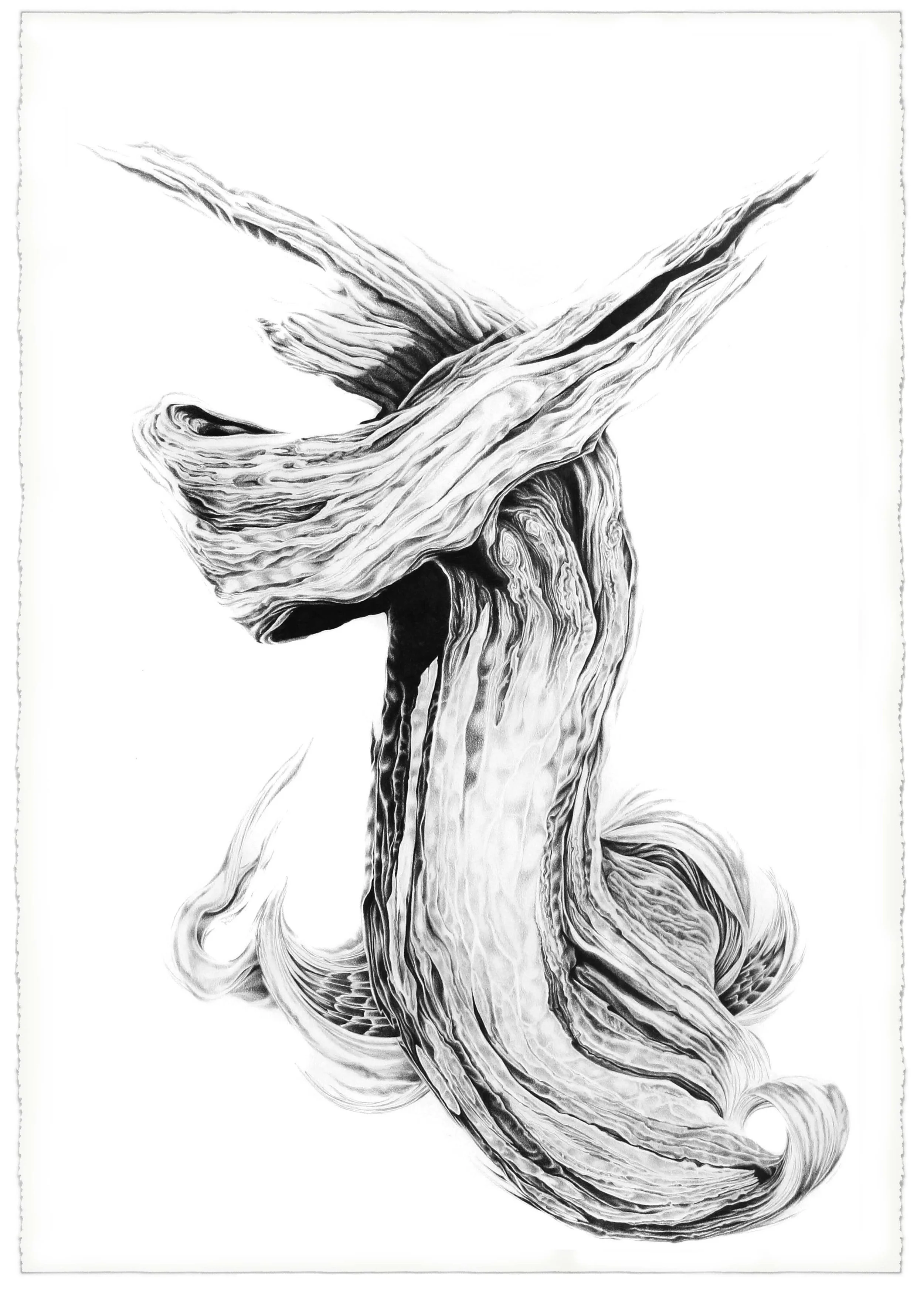 ARTISTS — EUQINOM Gallery