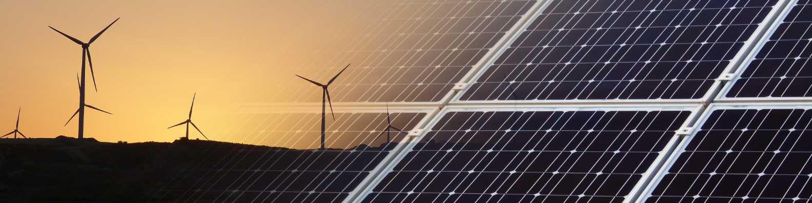 Phibro LLC - Global Pure Play Green Commodity Company