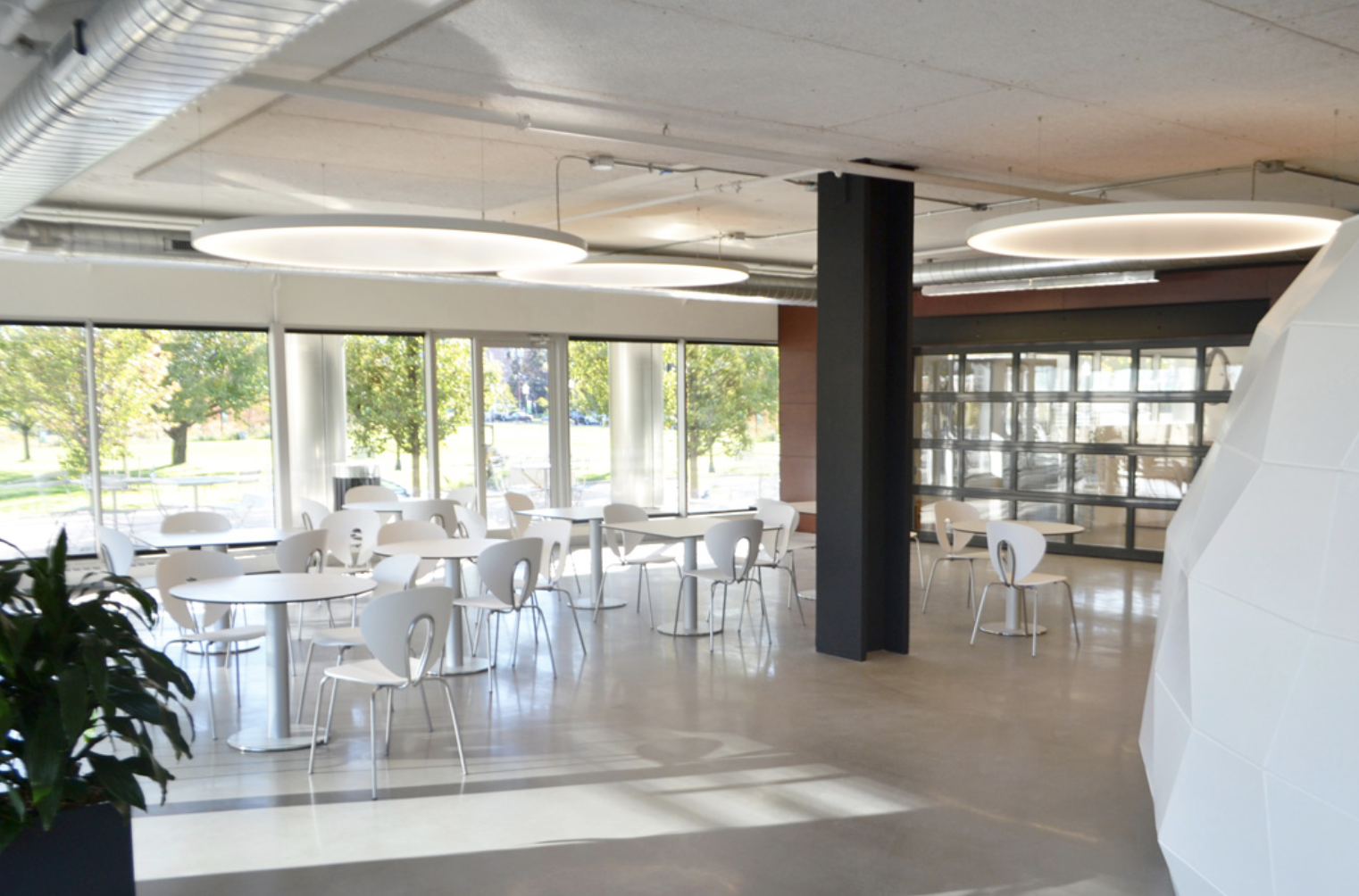 Phibro LLC Commodities merchant investing