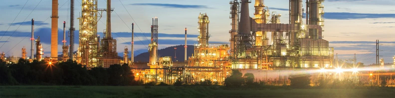 Phibro LLC - Global Pure Play Green Commodity Company