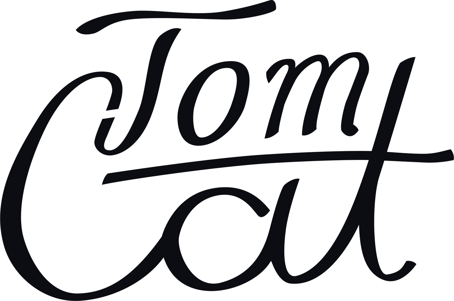 TOM CAT SKATE I Skateboardschule und Skateshop