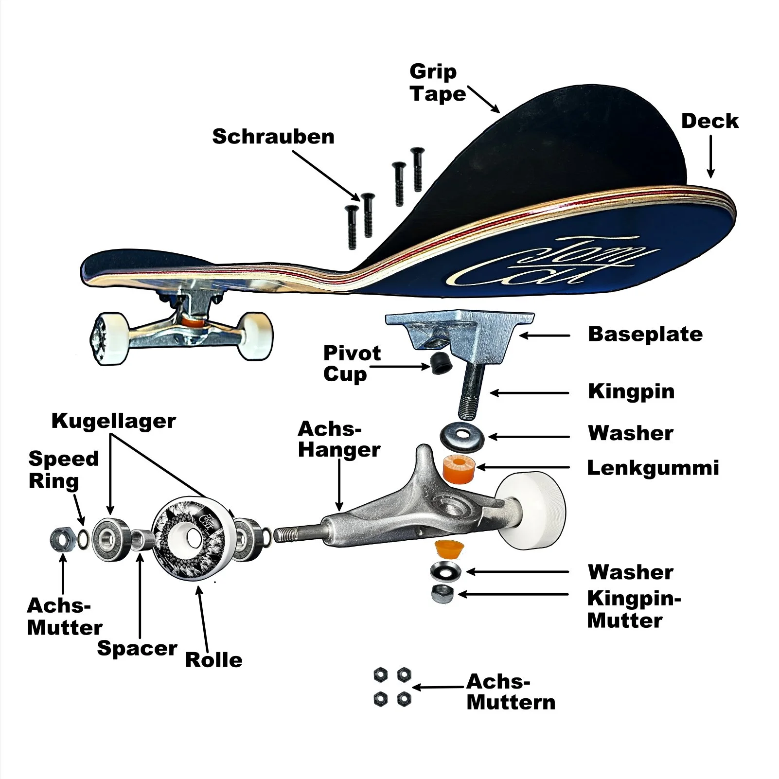 Skateboard Shop — TOM CAT SKATE