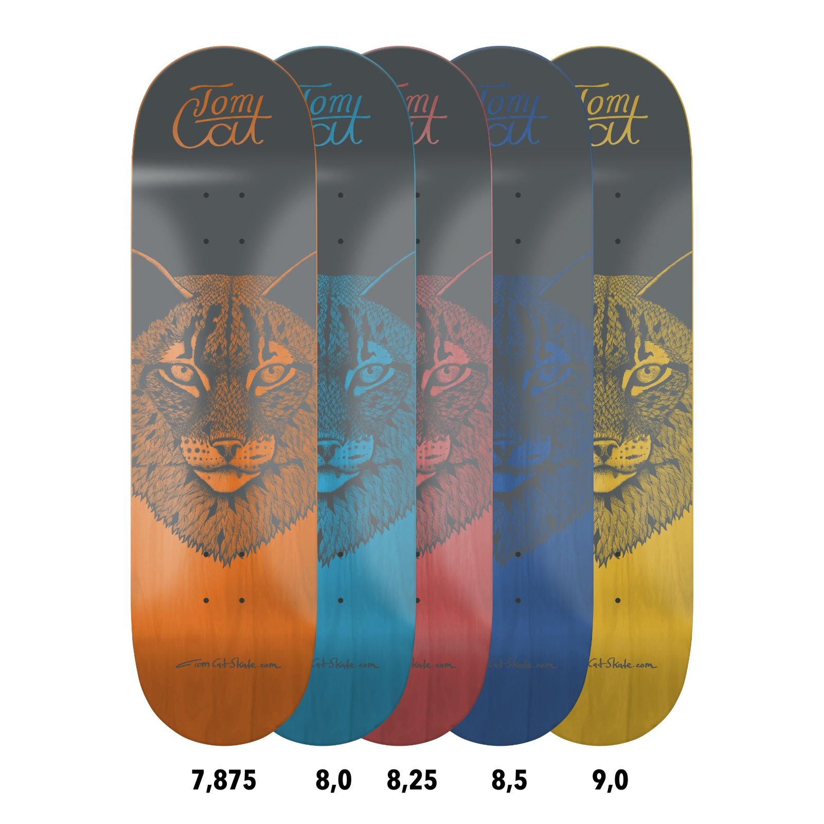 Decks — TOM CAT SKATE I Skateboardschule & Skateboard Shop