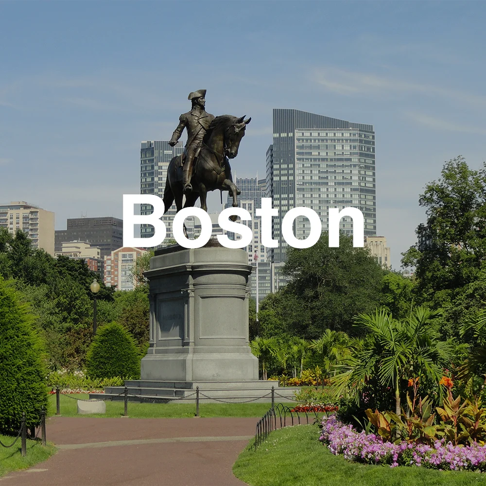 Action Design Network