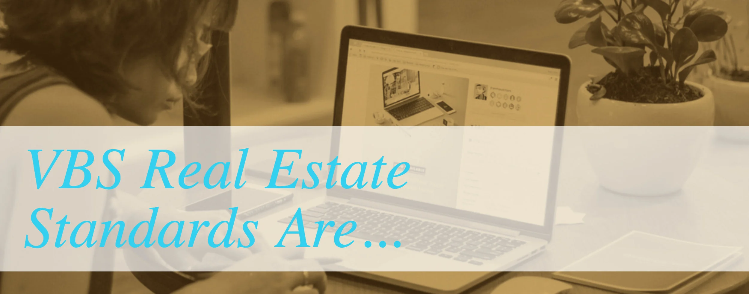 Work at VBS Real Estate — VBS Real Estate | Real Estate Virtual Assistant