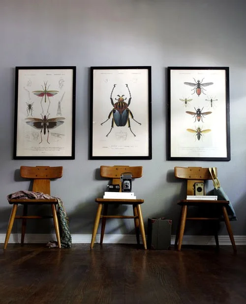 Grey Matter: How to Choose the Perfect Grey Paint — True Design House