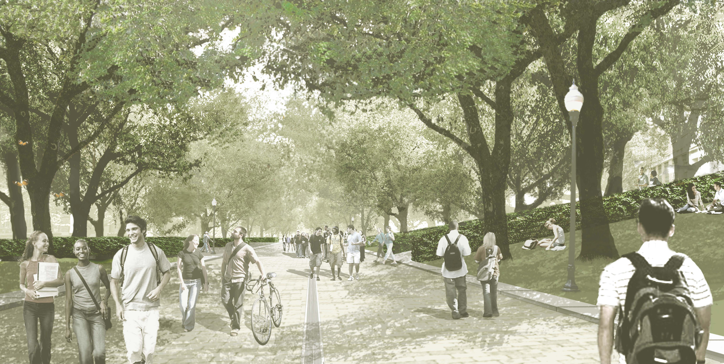 Campus Pedestrian Mall