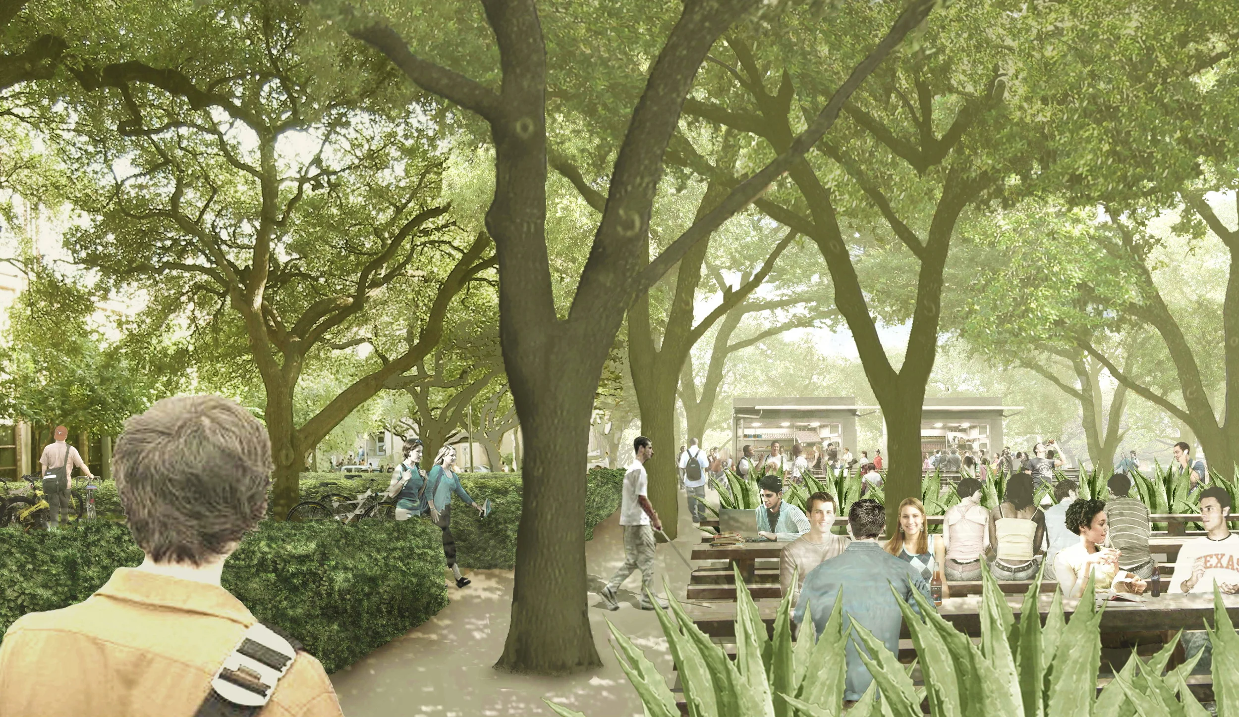 Campus Pedestrian Mall