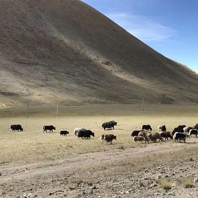 Road To Tibet