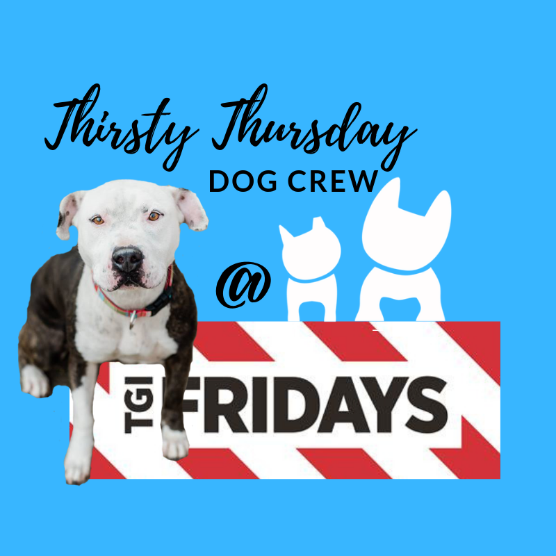 Tgif Images Dog