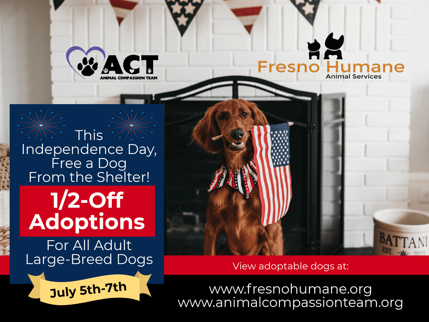 Independence Weekend Special for Adoptions @ Petsmart River Park ...